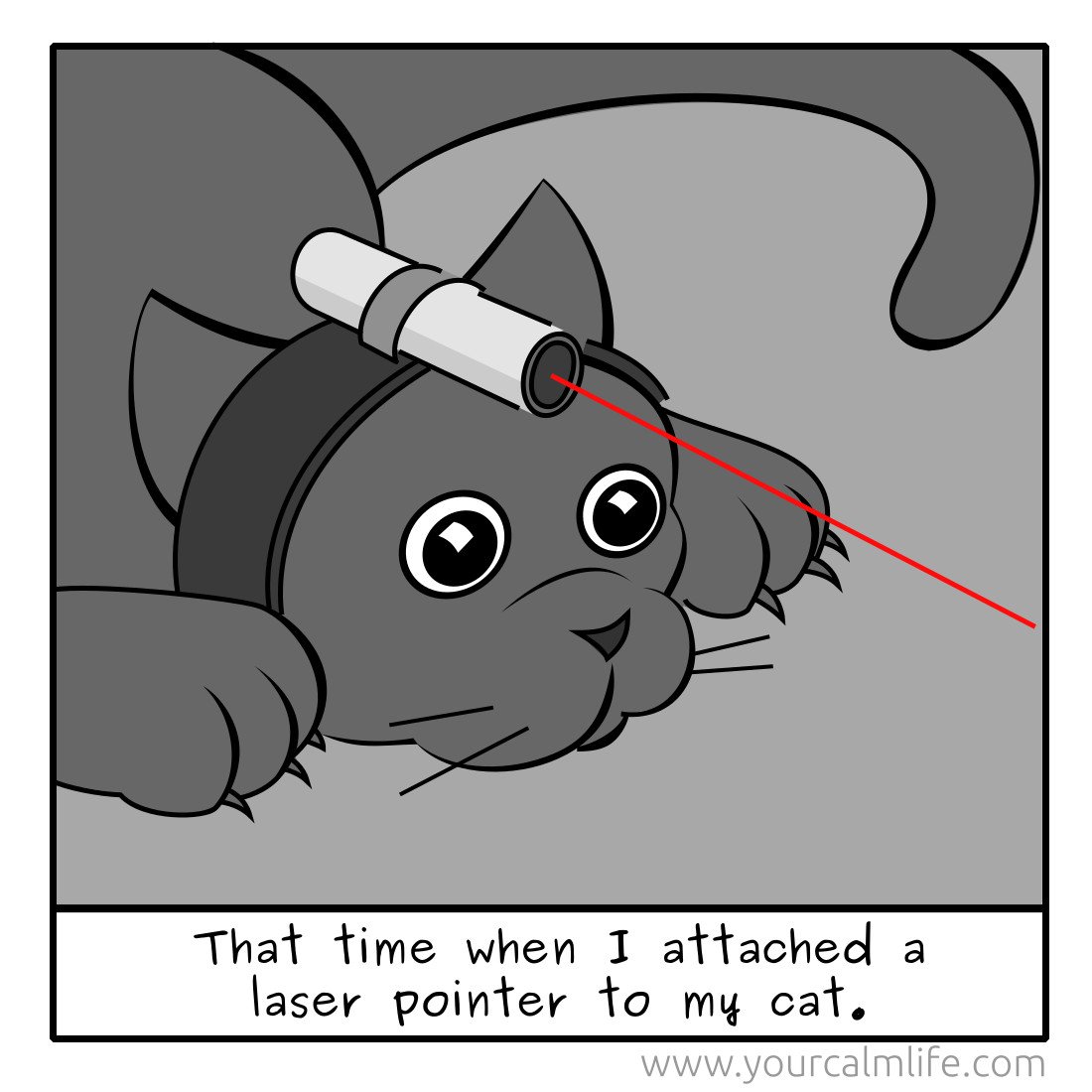 Laser Cat Cartoon Funny