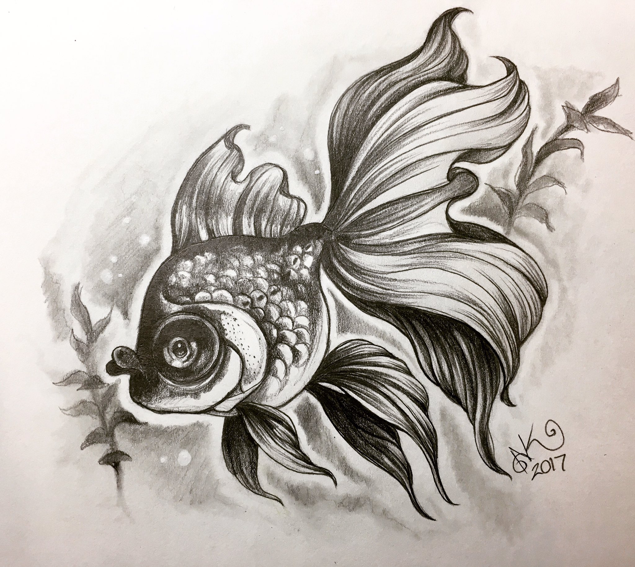Black Moor Goldfish Drawing Page 13 | Black Moor Goldfish Images