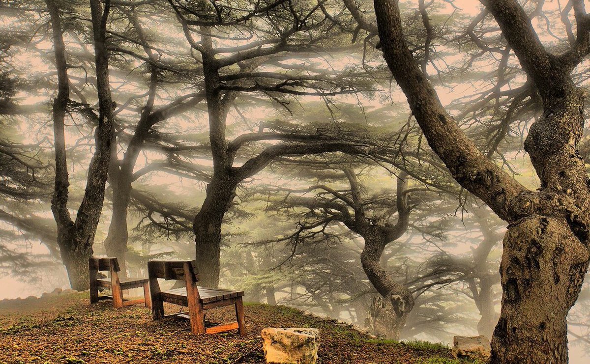 Maaser El Chouf Photo by H. Hamoud (picture of the day) : r/lebanon
