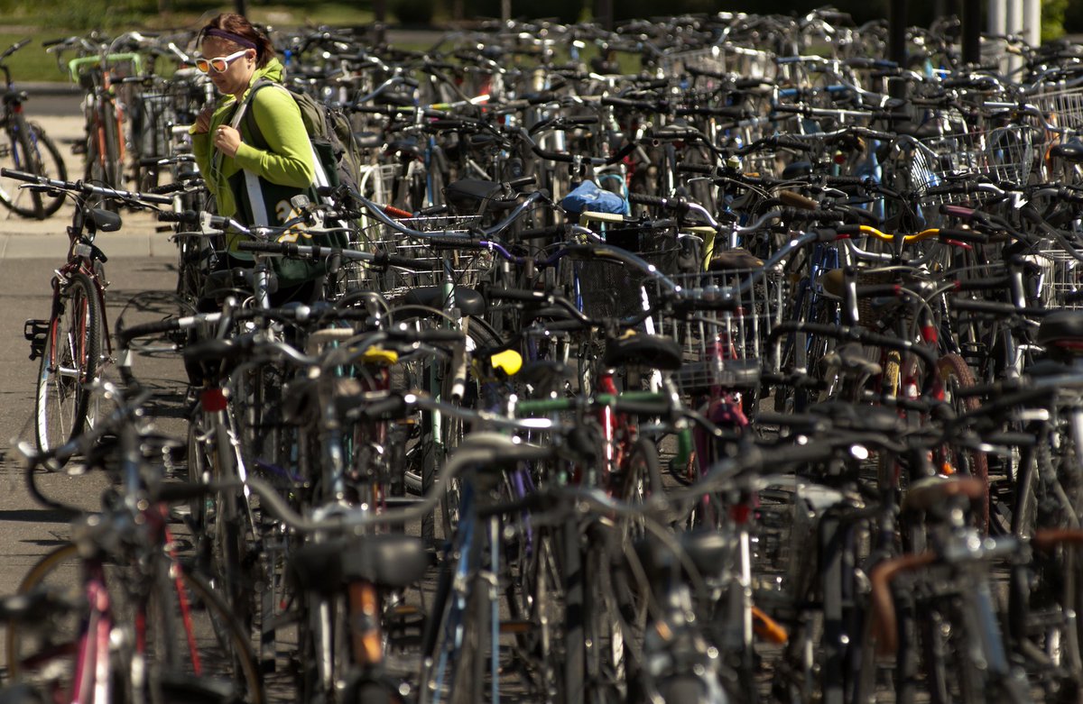 Uc Bikes Davis Hutchiaon