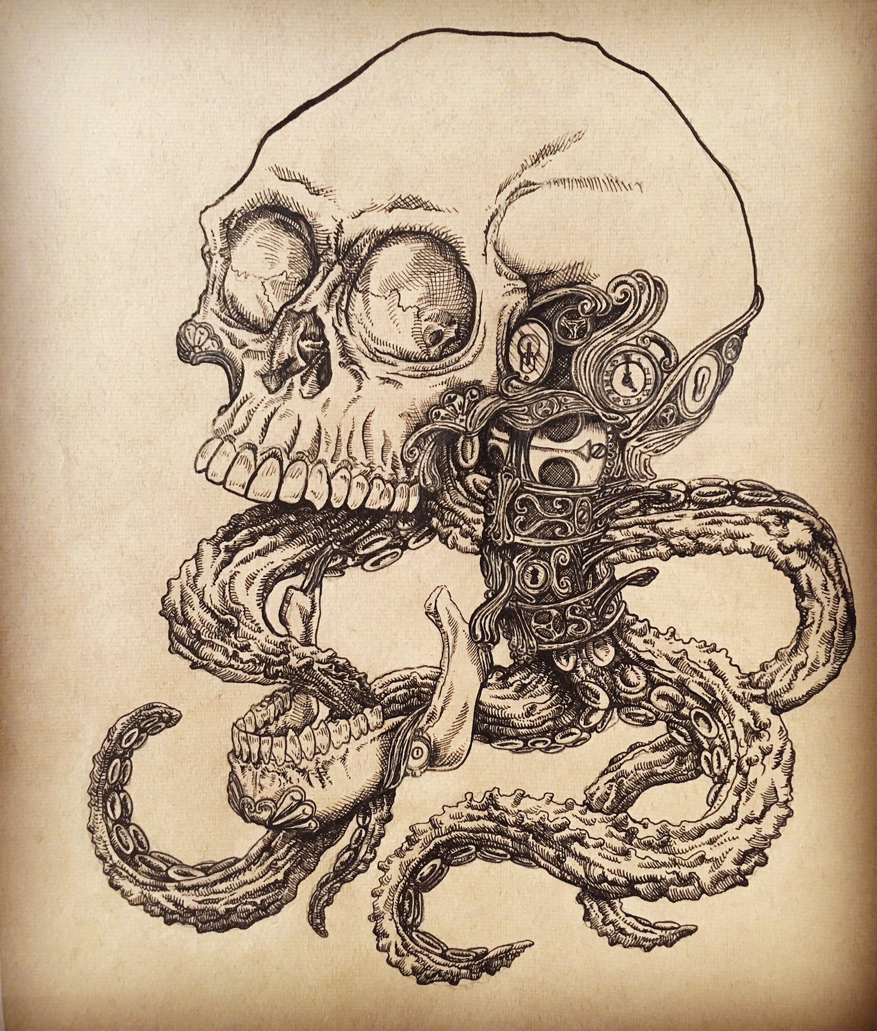 Octopus Skull Drawings