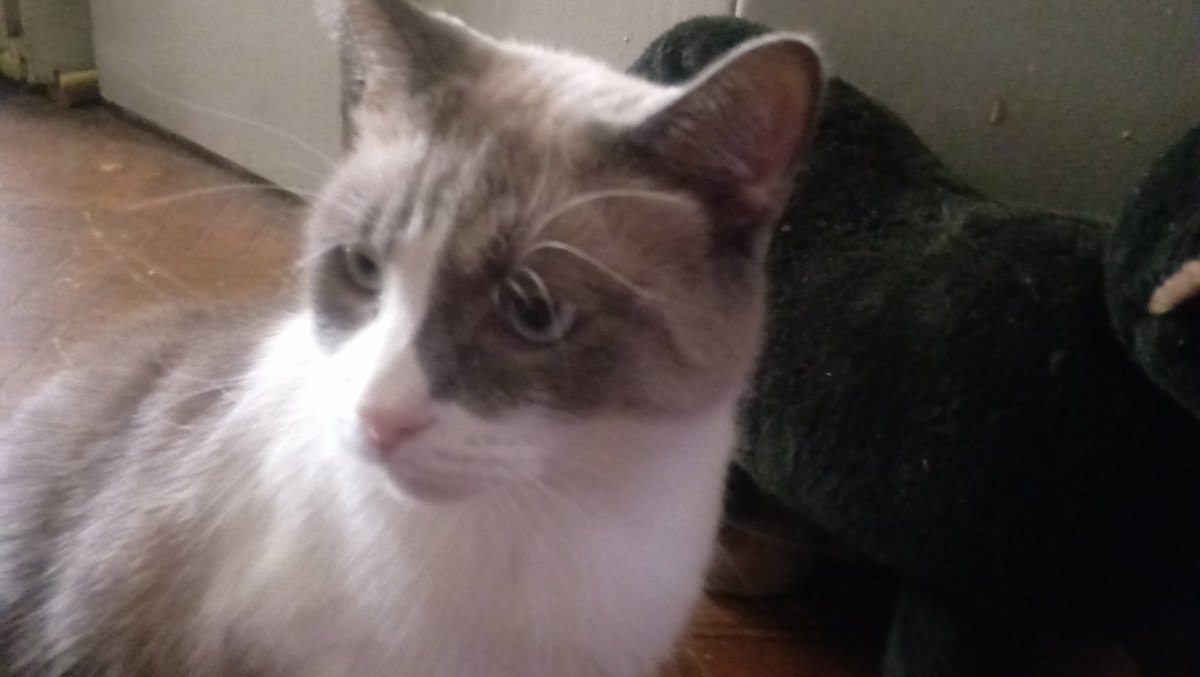 Tina Cordery (@cordery_tina) | Twitter