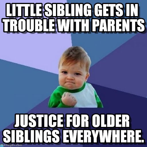 Older Sibling Memes