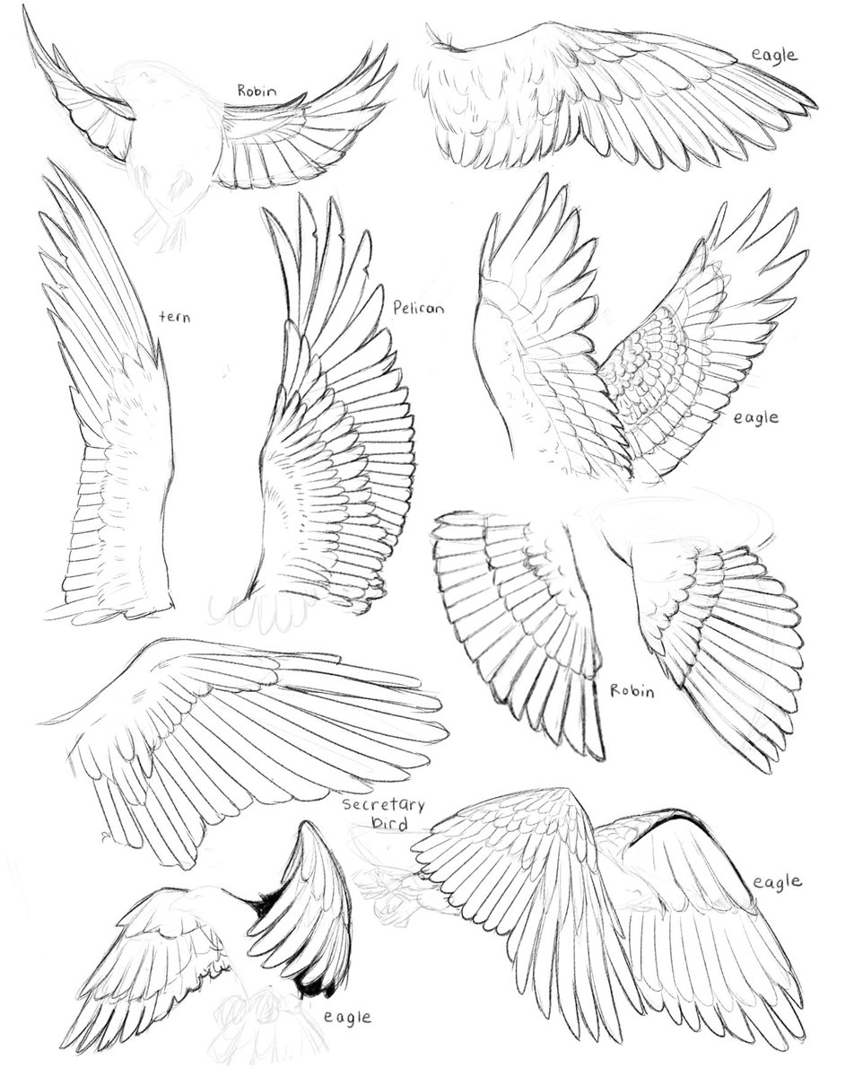 「Some wing studies from yesterday's stream! 」Syertse @ AX T17の漫画