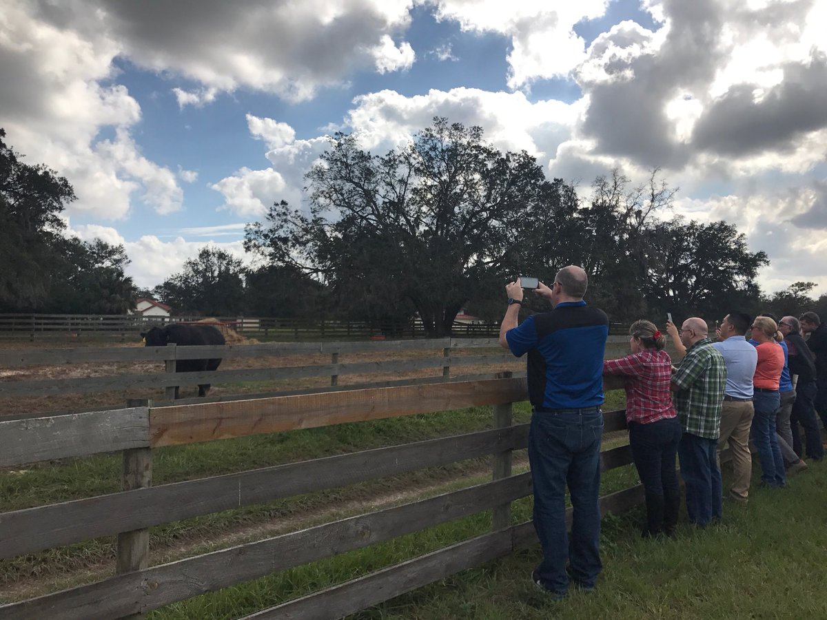 Big Timber Cattle Co (@BigTimberCattle) / Posts / X
