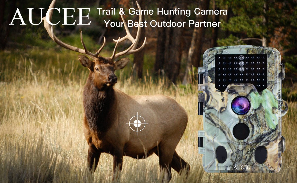 Sale > aucee trail camera > in stock