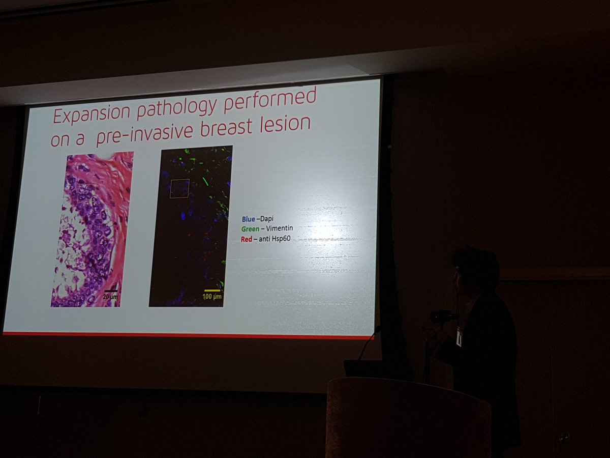 Branko Perunovic on Twitter: "Fantastic lecture by Andrew Beck #PathAI at #DPCLondon…