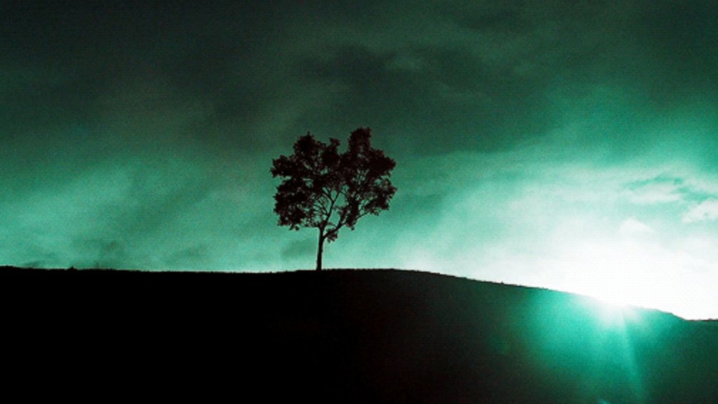 The Ring 2002 Wallpaper The Ring (2002) Original Film Poster [DIN A1,