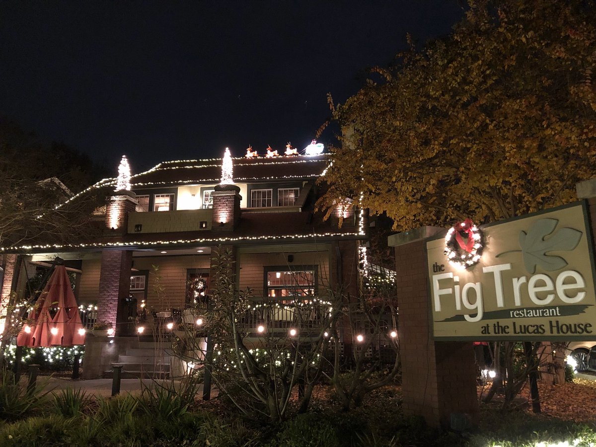 Fig Tree Charlotte Restaurant Charlotte Nc