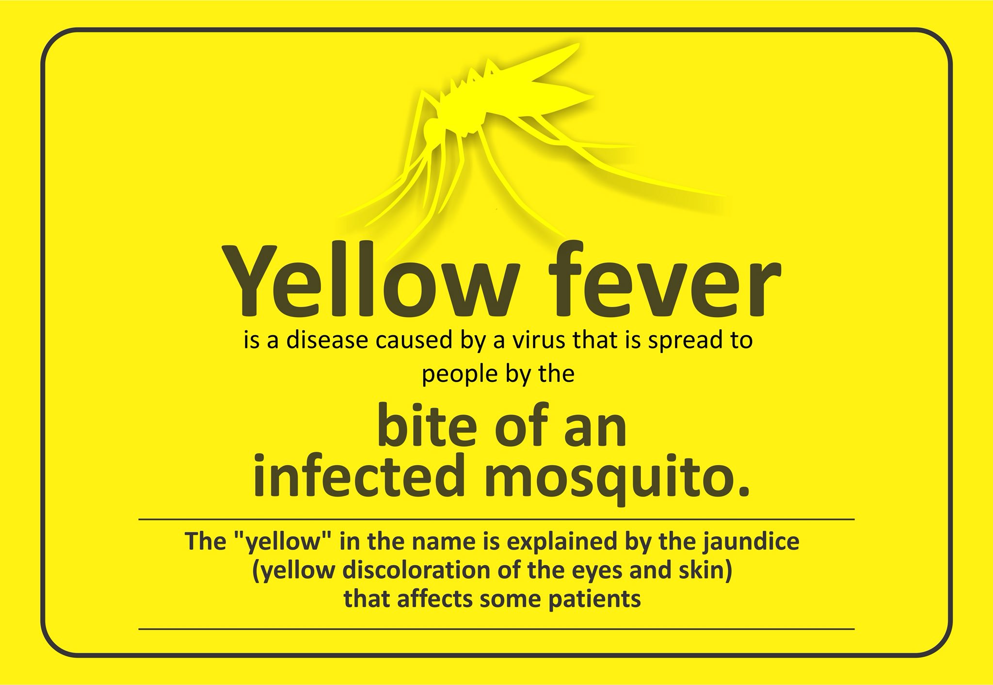 People With Yellow Fever