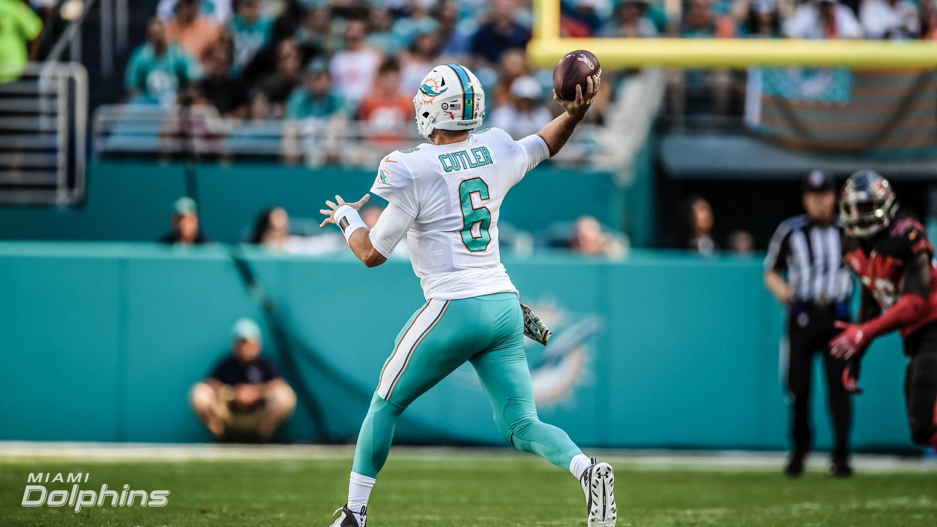 Jay Cutler Injury