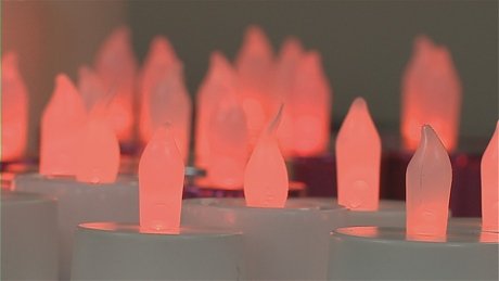 TransAlberta (@TransAlberta) | Twitter