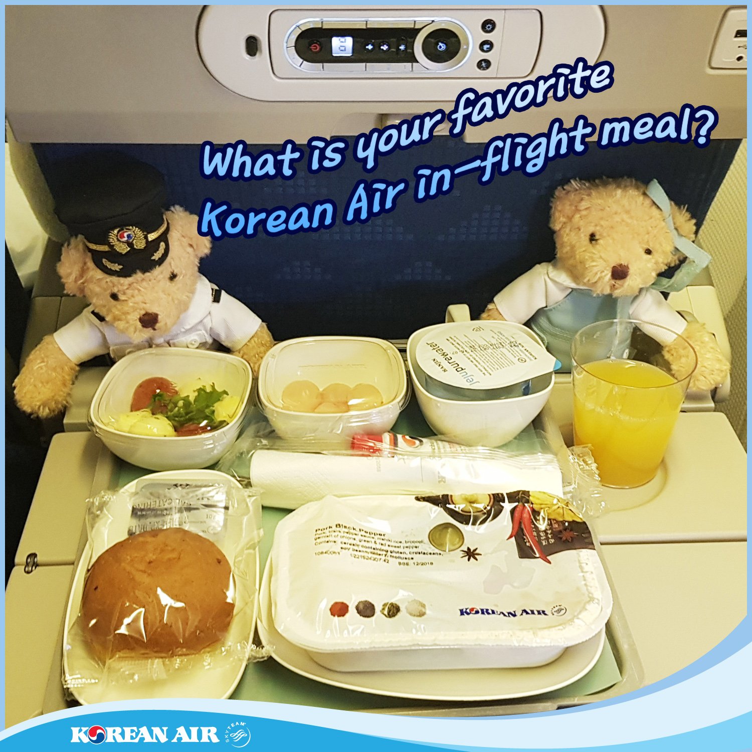 Korean Air Food