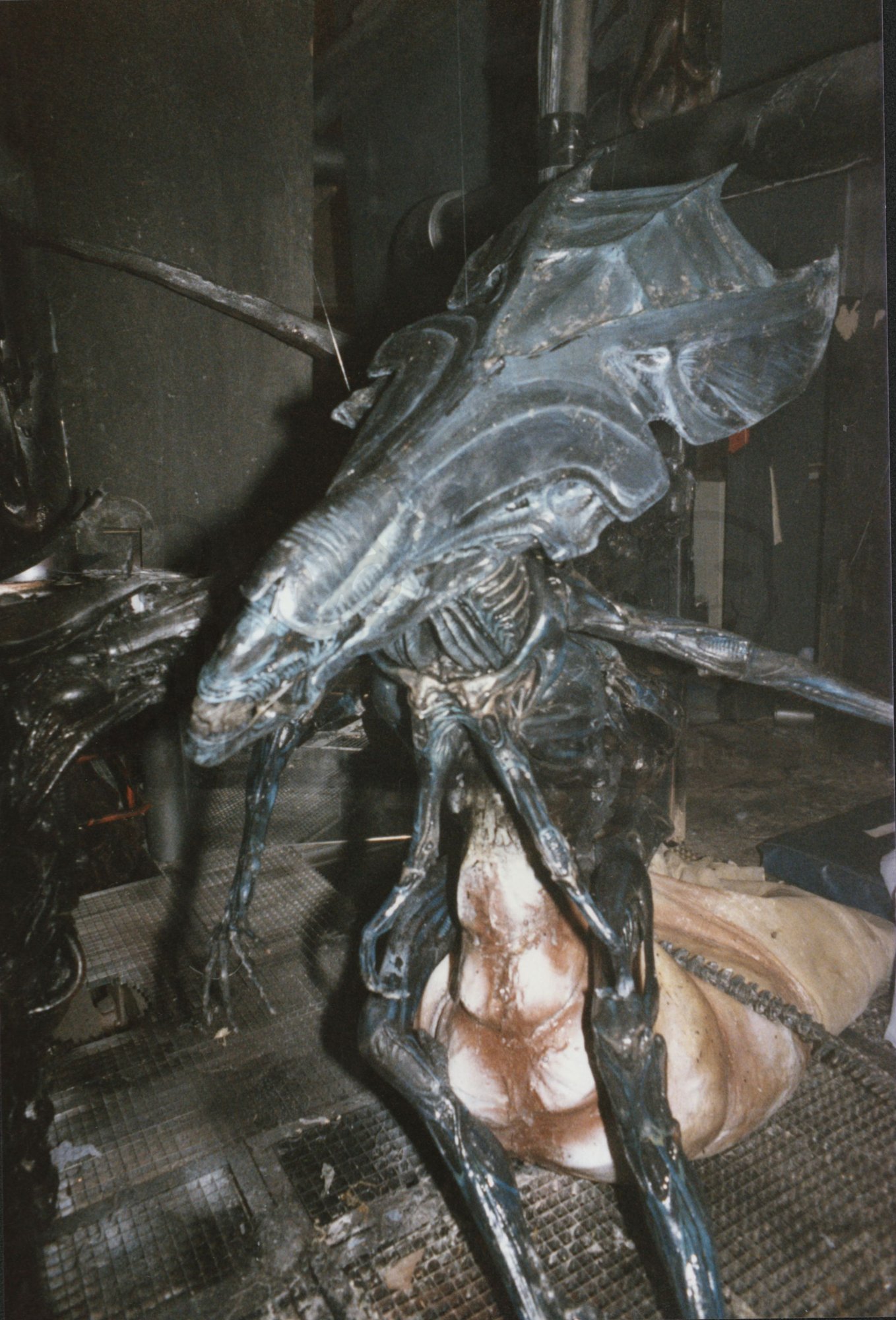 Aliens 1986 Queen