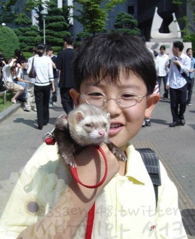 Chanyeol Pre Debut Ferret