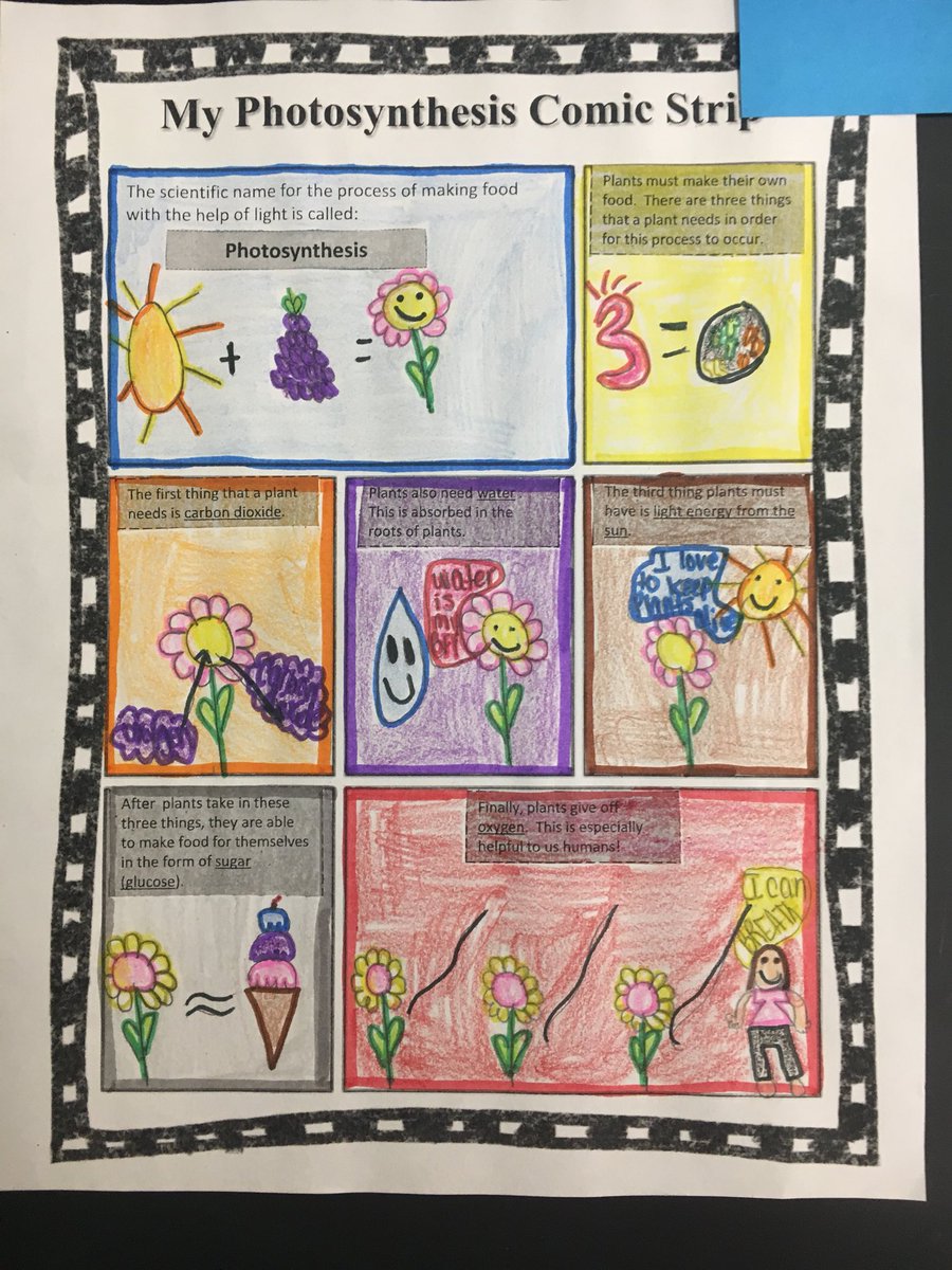 Photosynthesis Comic Strip Assignment