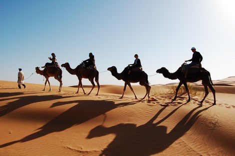 أكرر طرفي نحو نجد وأنني إليه وان لم يدرك الطرف أنظر .. حنينا إلى أرض ...