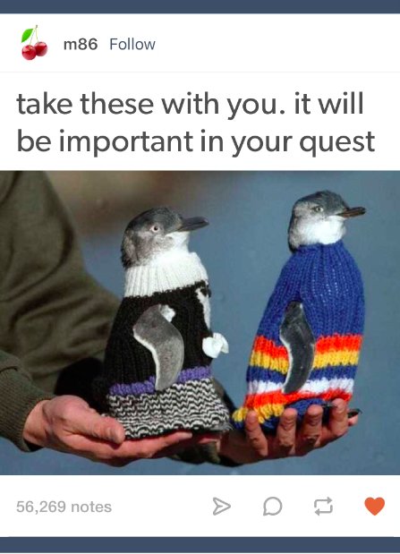 Penguins In Sweaters Tumblr
