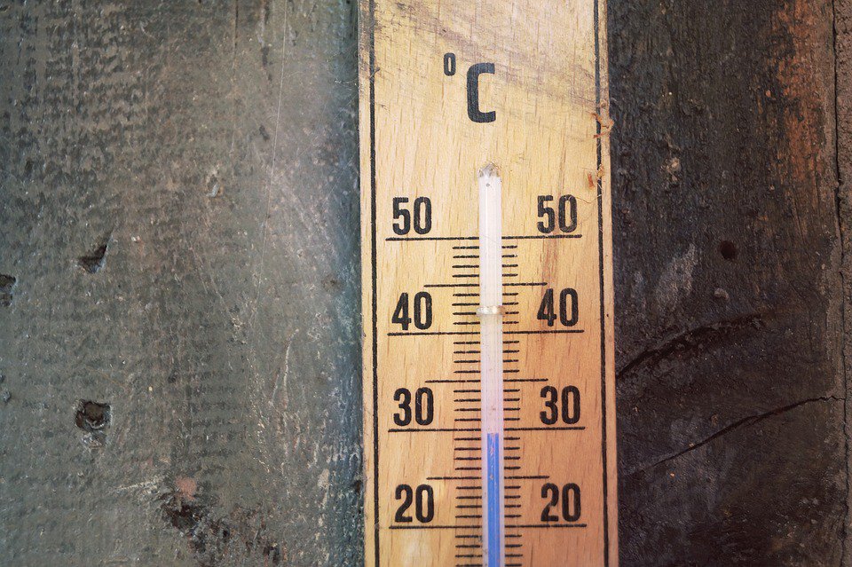 Anders Celsius Thermometer