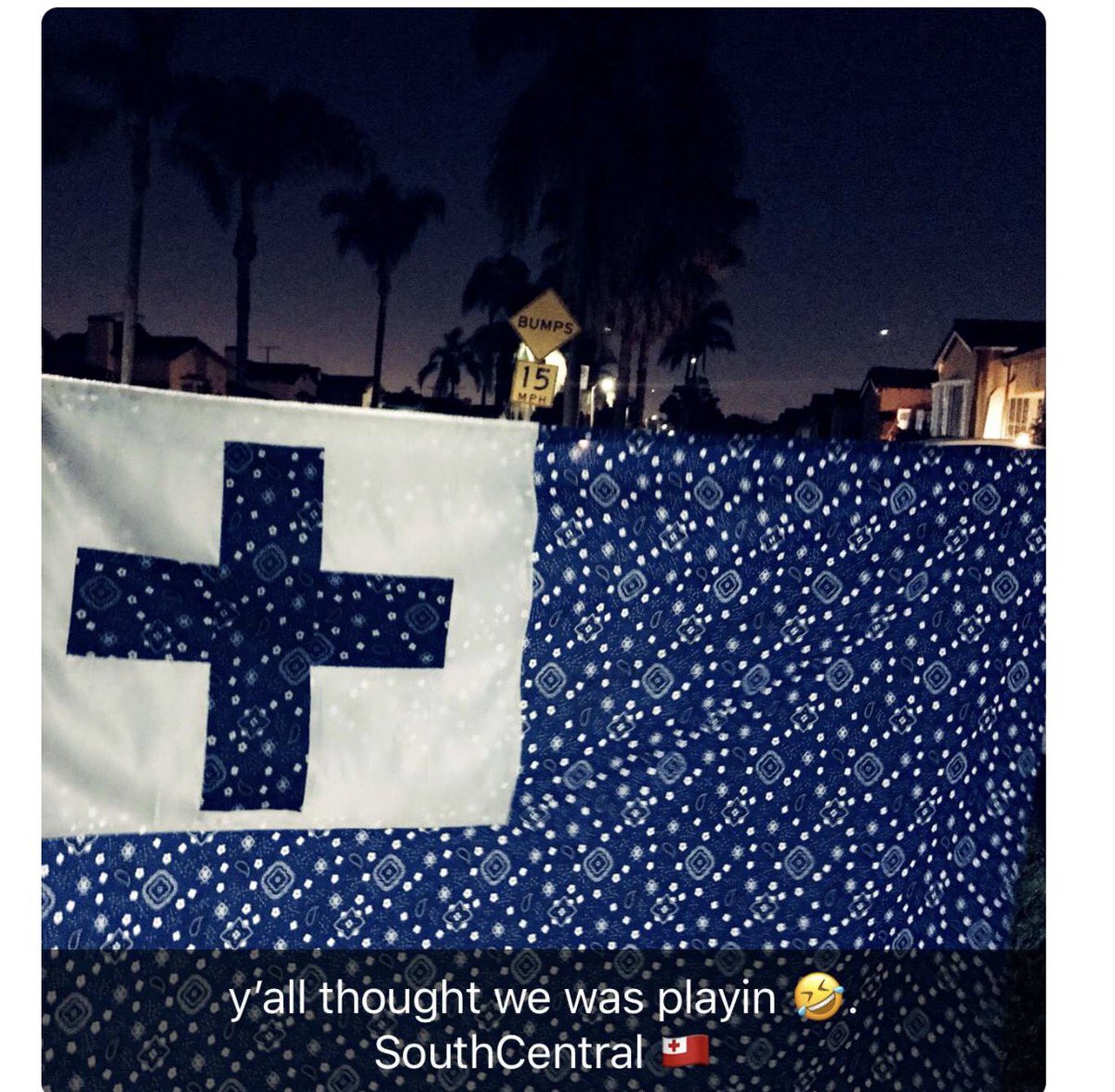Crip Flag