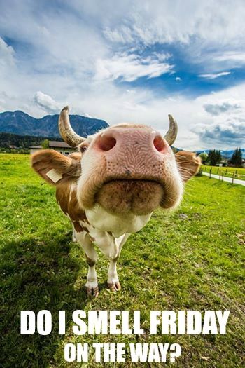 Its Almost Friday Quotes