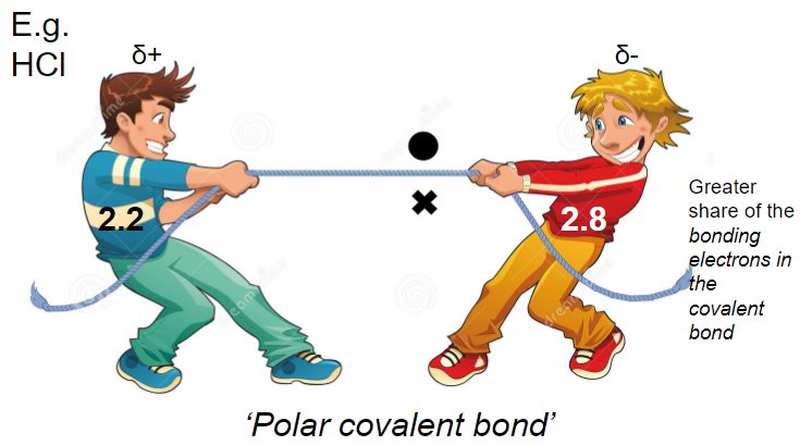 Covalent Bonding Animation