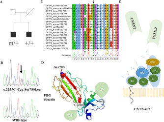 BioComputing UP (@BioComputingUP) | Twitter