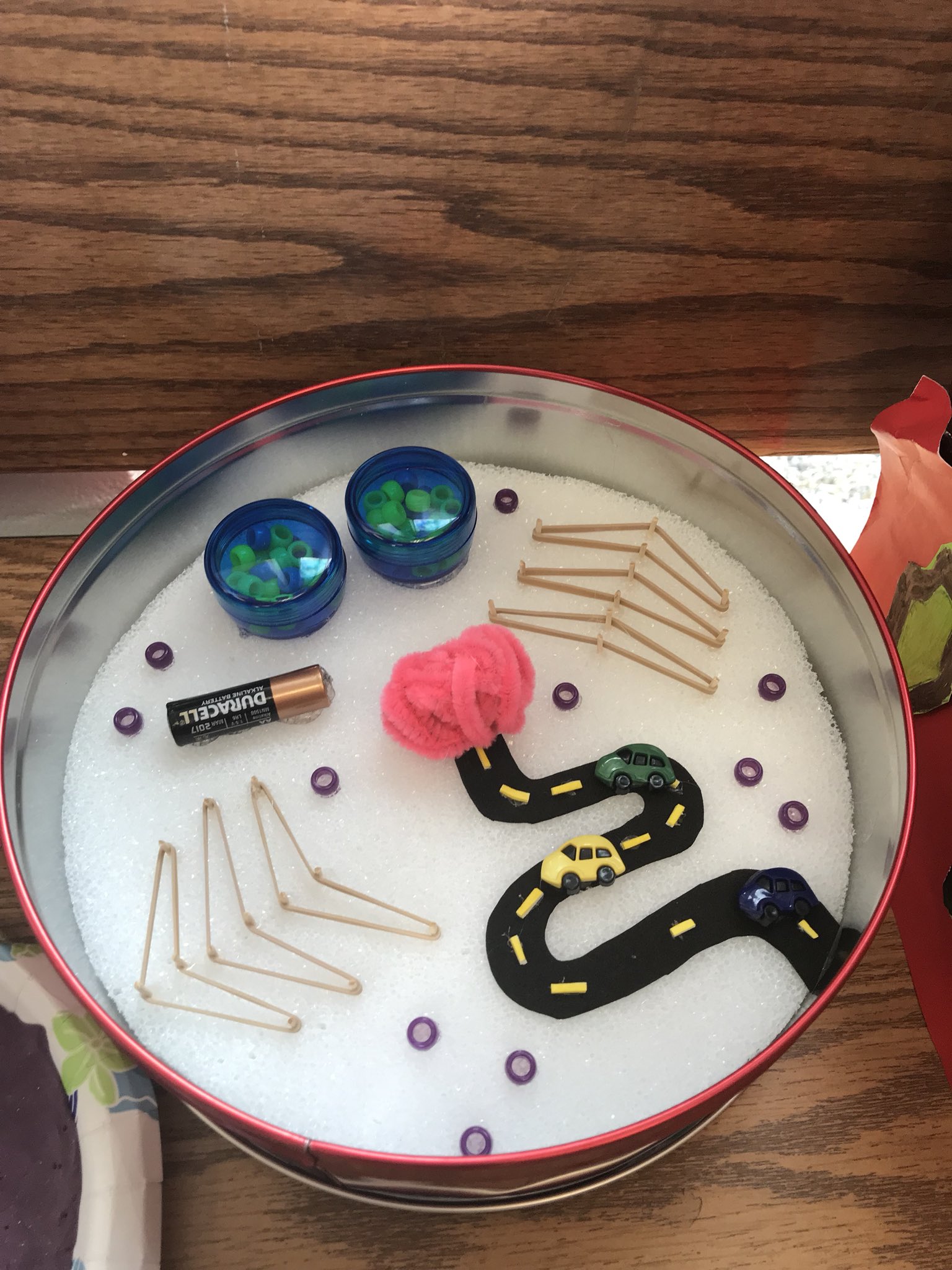 Plant Cell Project Ideas 20 Hands On Plant Cell Projects To Inspire