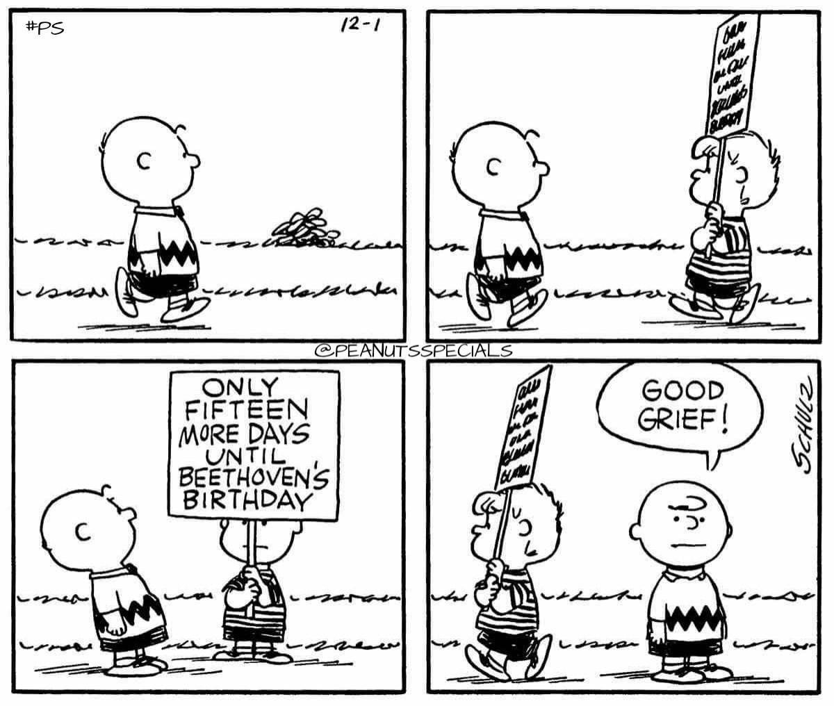 Peanuts Schroeder Beethoven