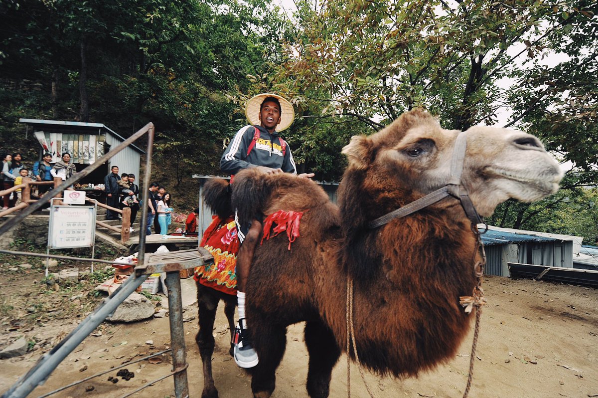 Just blessing your TL with pics of Swaggy P on a camel. Happy Friday y ...