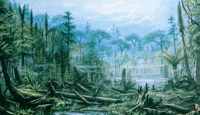 Pennsylvanian Period Plants