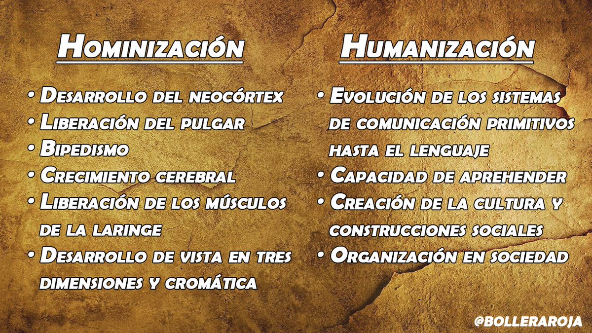 Hominizacion Y Humanizacion