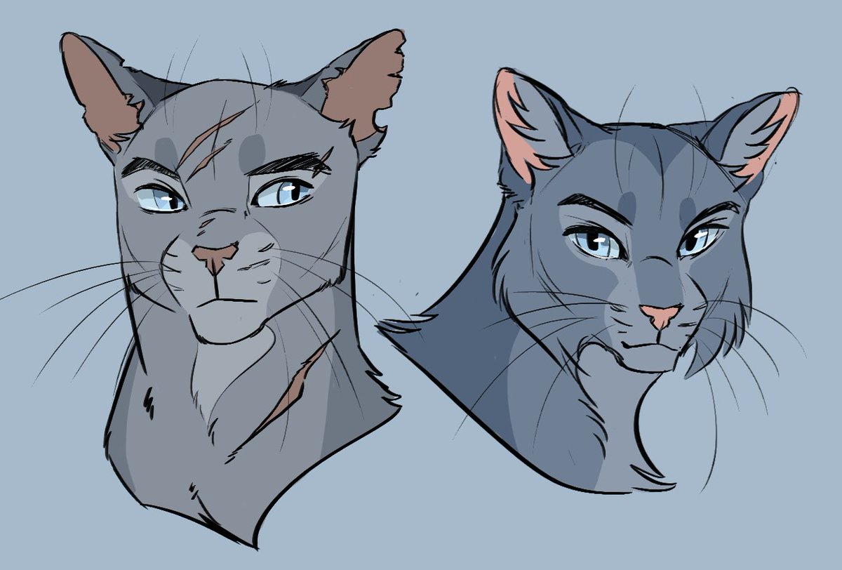 Warrior Cats Mistyfoot And Stonefur