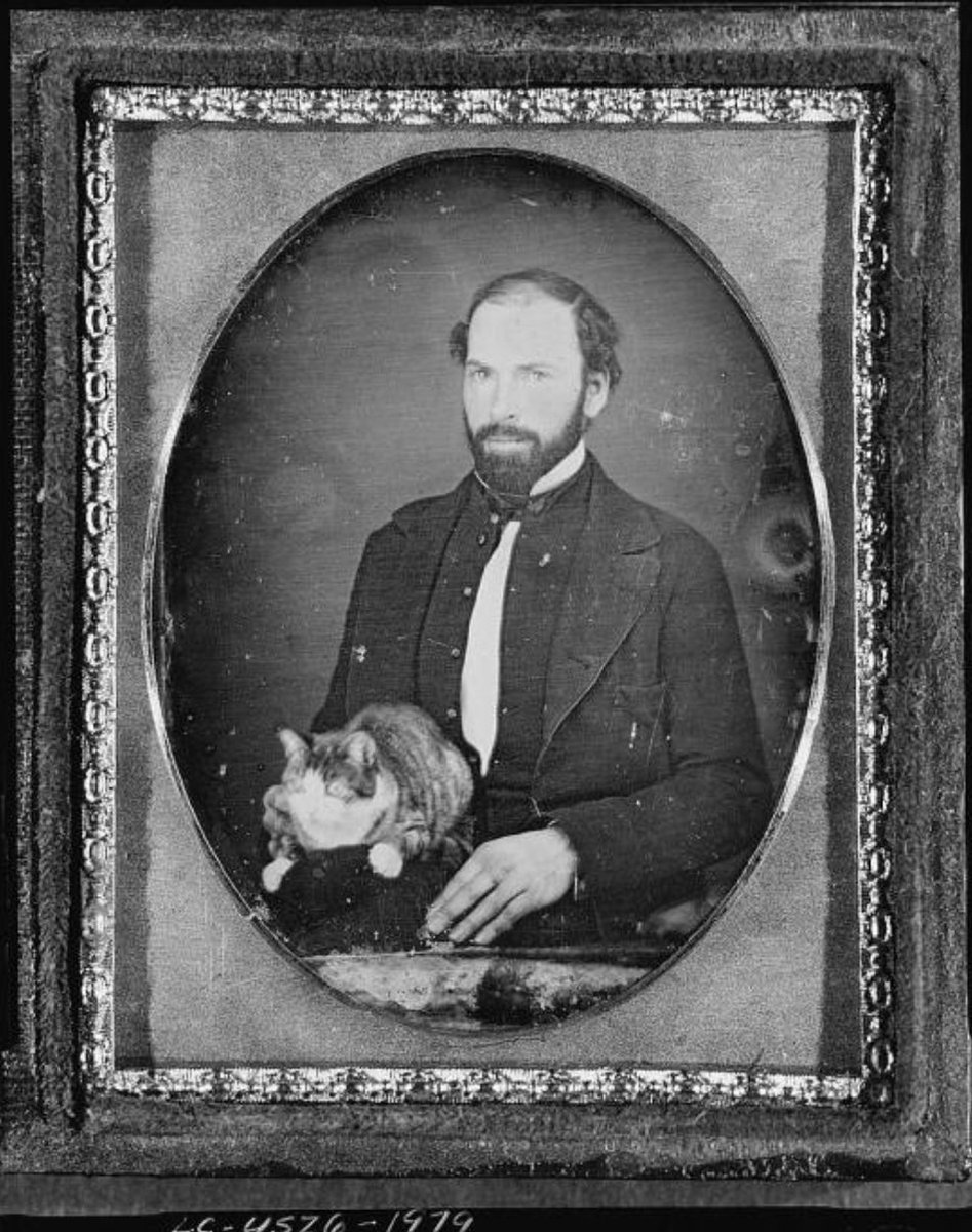 These are the three oldest known photographs of cats. No one's sure ...