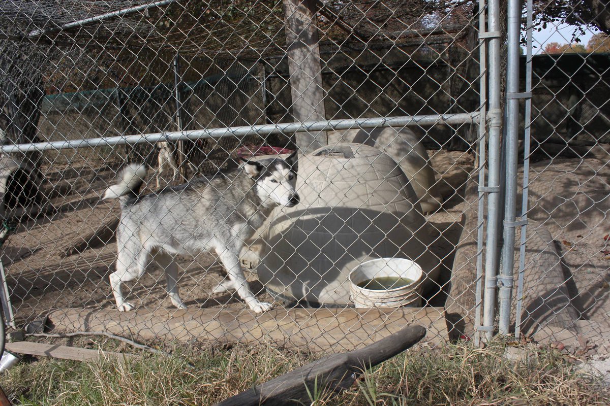 Jeanette Trexler's Instagram, Twitter & Facebook on IDCrawl