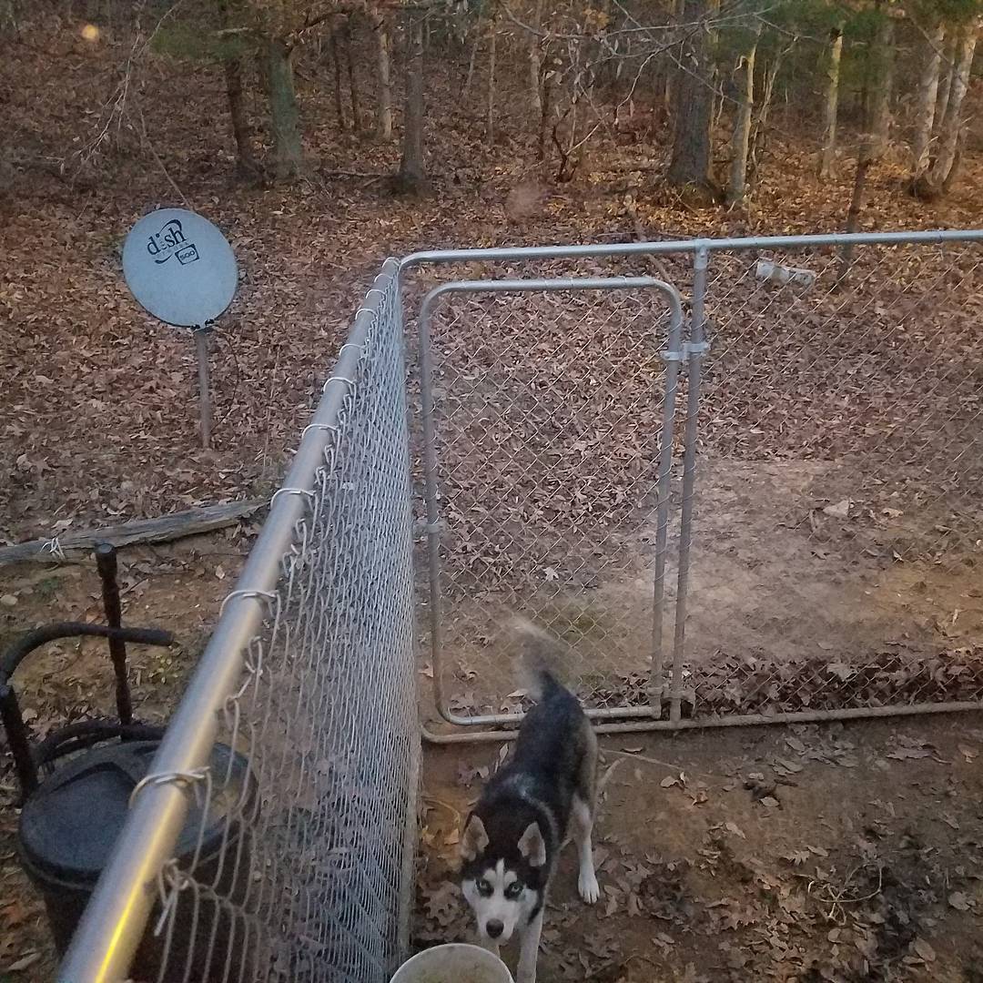 Jeanette Trexler's Instagram, Twitter & Facebook on IDCrawl