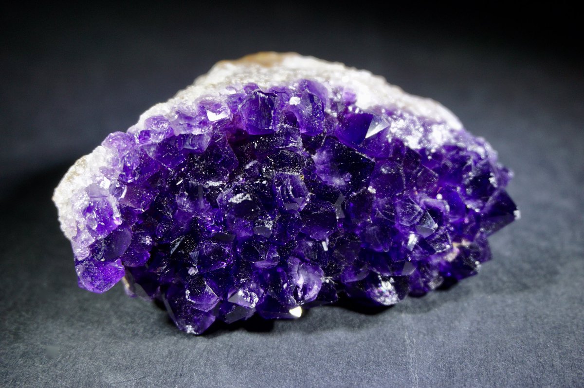 Fossilsandcrystals Fossilscrystals Twitter