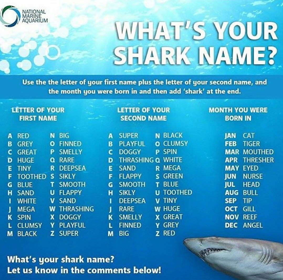 Shark Girl Names