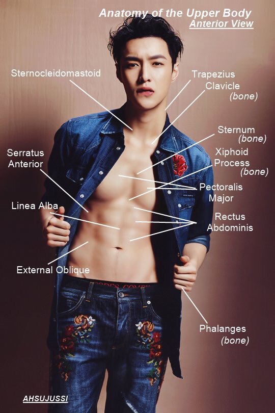 Exo Suho Body