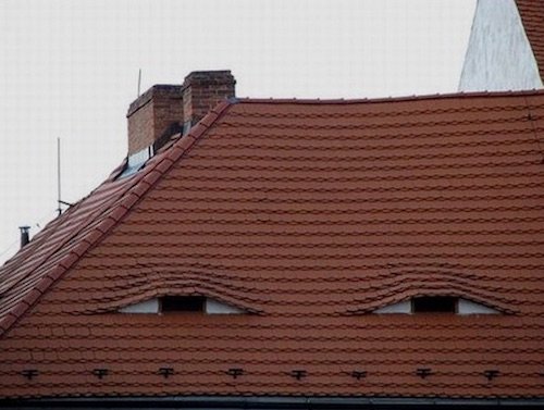 Skeptical House
