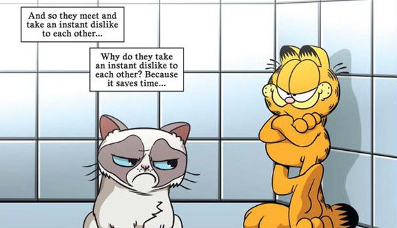 Grumpy Cat Vs Garfield