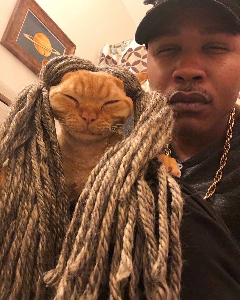 Cat With Dreadlocks