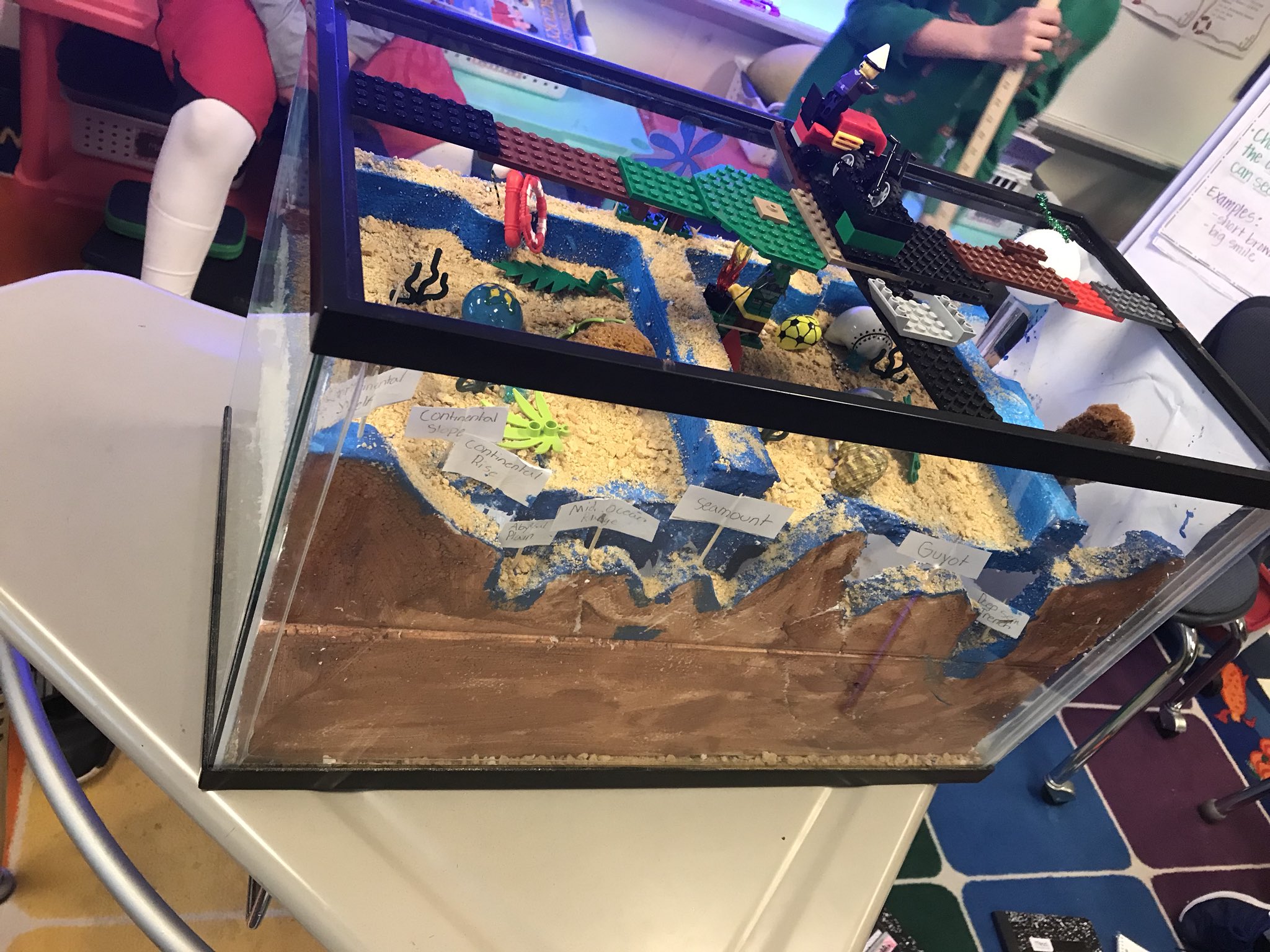 Ocean Floor Diorama Examples Creation Model And Sea Floor Studies