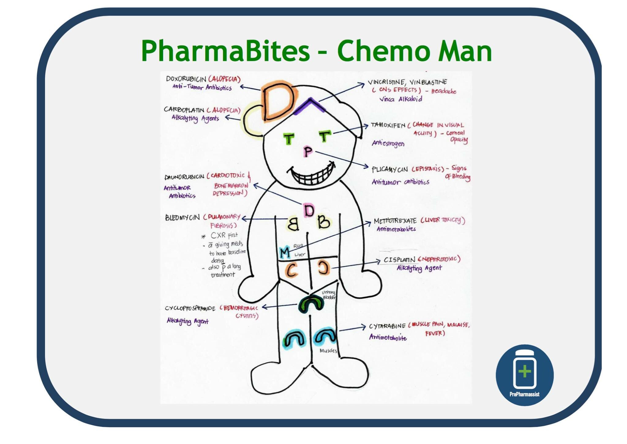 Chemotherapy Side Effects Diagram