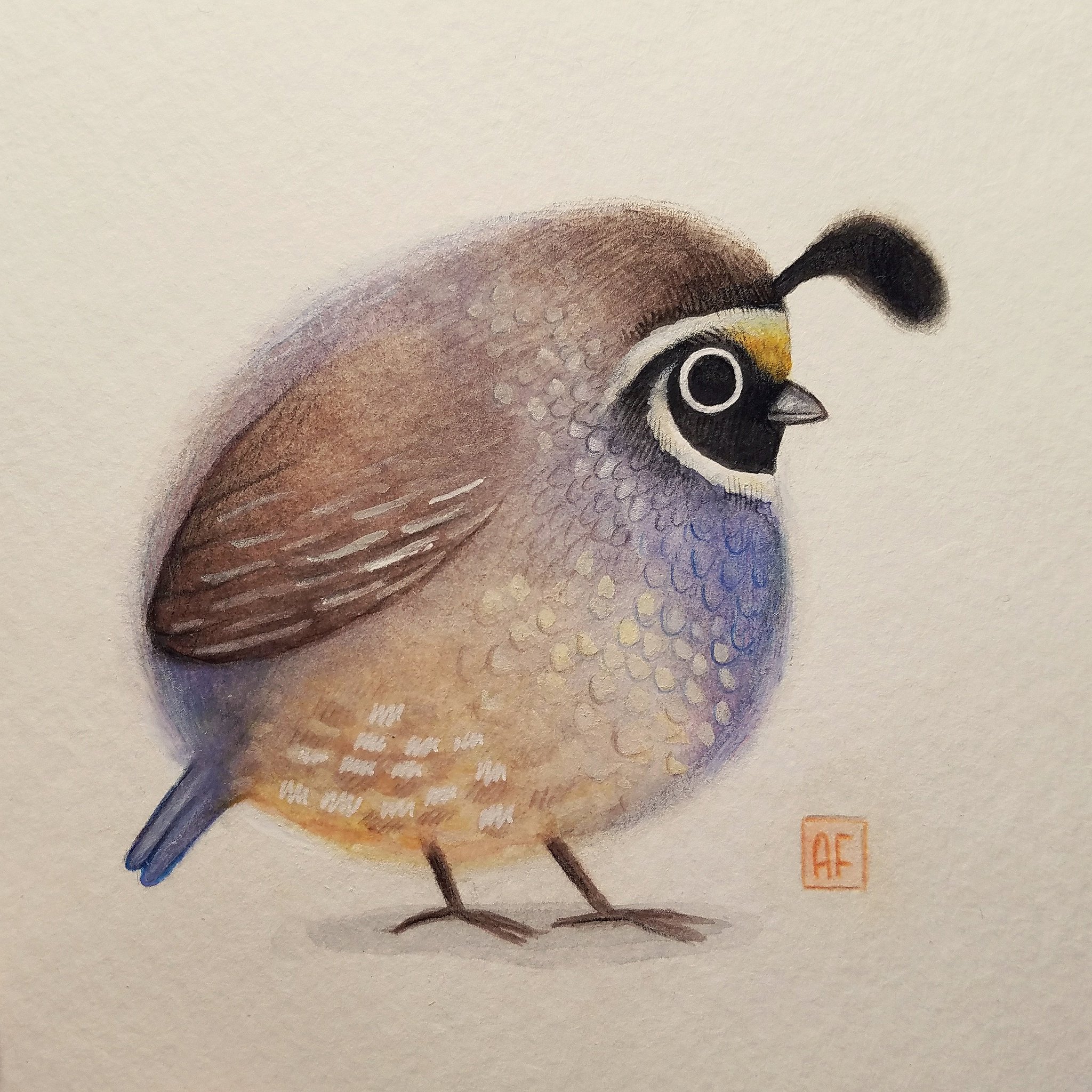 Quail Art