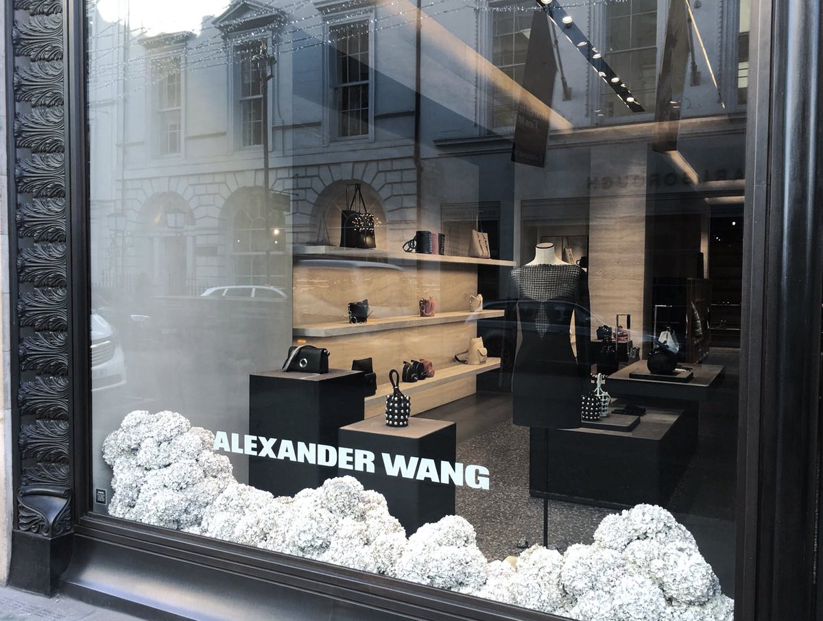 Alexander Wang Store