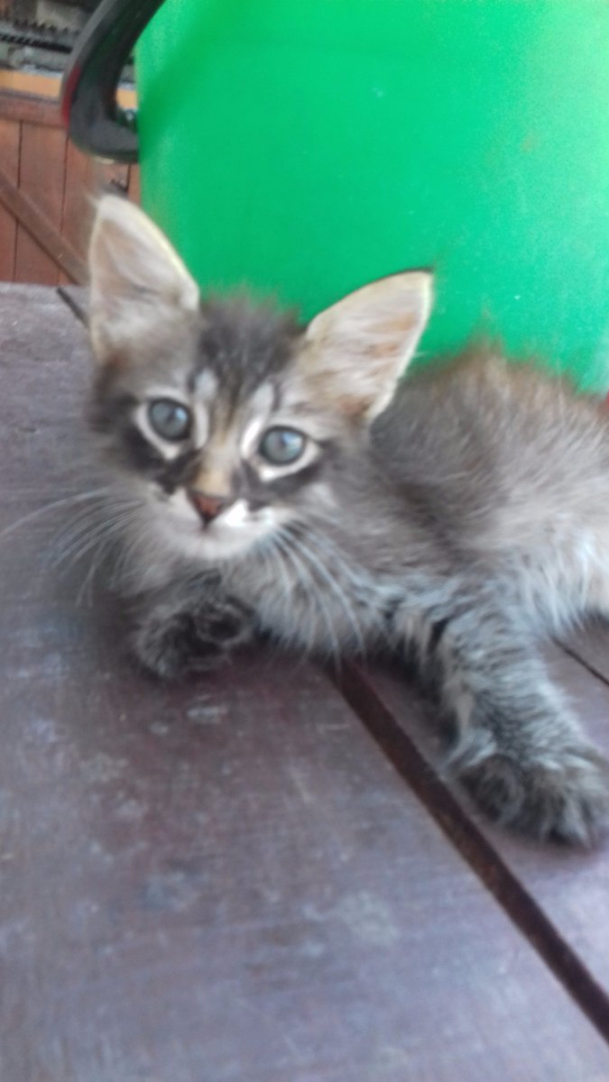 Eli Colmenero (@Eli_ColmeneroRA) | Twitter