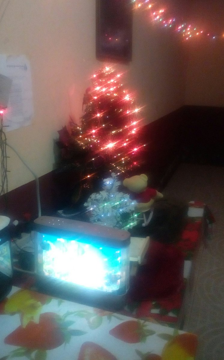 Ivan Alexander Sáenz (@RealAlexander10) | Twitter