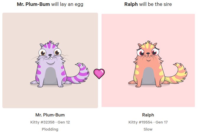 Rocco Augusto (@therocco) | Twitter