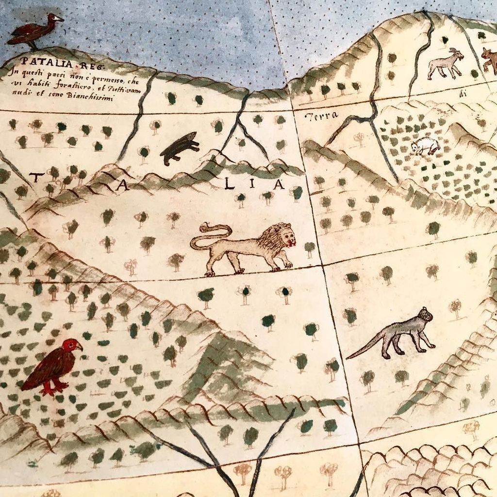 Inmuebles objetivo malla mapa urbano monte full hd Desventaja Capitán ...